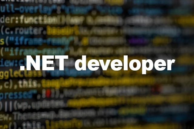 Dot Net Developer: lavoro, prospettive e salari - Business Competence Dot Net Developer: lavoro, prospettive e salari - Business Competence